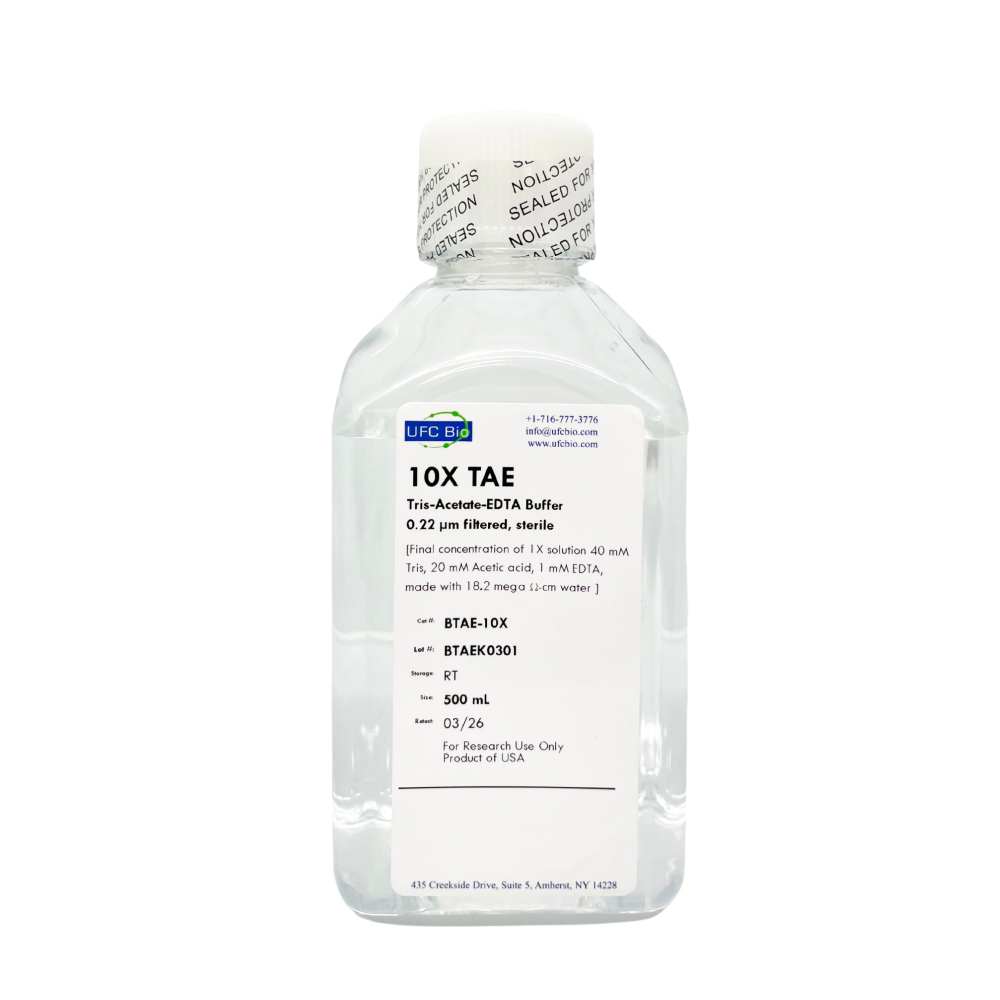 10X TAE Buffer (Tris Acetate EDTA) - 500 mL
